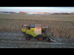 Farm 2 3 5 6 12 Rows Combine Header Harvester 1.6-3.3 Acres / Hour
