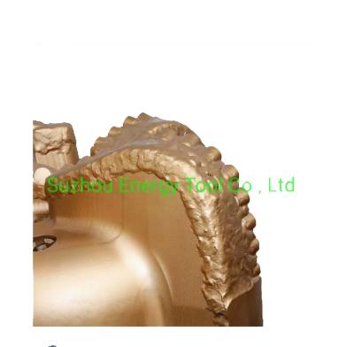 Cina Punte per trapano PDC a tagliente fisso da 7-7/8 pollici Diamond di utensili di perforazione in vendita