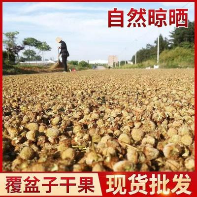 中国 男性用プレミアムドライラズベリー 強いハーブティー 中国ハーブ ドライラズベリー フルーツ ((Fu Pen Zi) 販売のため
