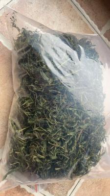 China Raspberry sweet leaf contains relatively rich tea polyphenols and total flavonoids, which has certain health care effects for sale