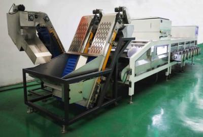 中国 大量出産日数分別機 食品用8レーン 50Hz 7.5KW 販売のため