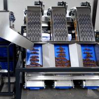 China In Shell Macadamia Nuts Sorting Machine Accurate Grading Sizing Simultaneously for sale