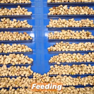 China 380V jumboakbari-Pistache 8 de Sorteermachine van Uitgangennoten om Te sorteren en Te rangschikken Te koop