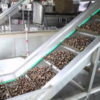 China Food Grade Inshell Chestnut Sorting Machine 6 Channels for sale