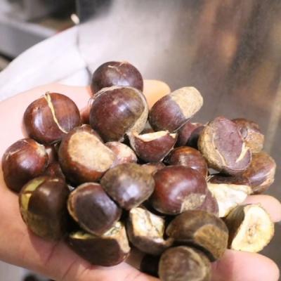 China Economic Large Capacity Inshell Chestnut Sorting Machine With 8 Exits for sale