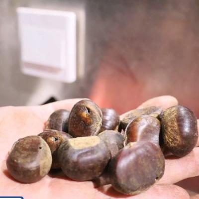 China Economic Large Capacity Inshell Chestnut Sorting Machine With 8 Exits for sale