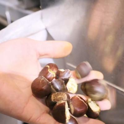China Inshell Nuts Sorting Machine For Various Chestnut Farmers for sale