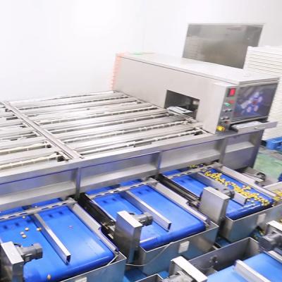 Китай Машина обстреливаемая высокой эффективностью каштана гайки сортируя 2 Ton/H продается