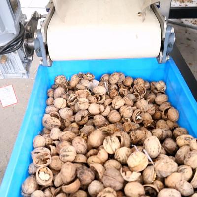 Cina Noce del commestibile di acciaio inossidabile che sguscia macchina 380V 2 tonnellate di uscita in vendita