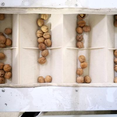 China 1 Ton Output 380V Walnut Shelling Machine Auto Production Line With CE Certification for sale
