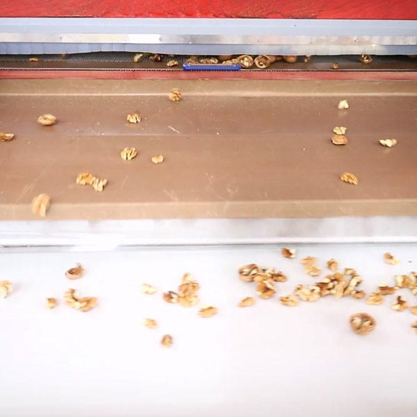 380V 8 Channels Electrical Walnut Shelling Machine CE Approved Capable 1-2 Tons