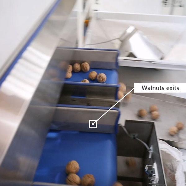 380V 8 Channels Electrical Walnut Shelling Machine CE Approved Capable 1-2 Tons