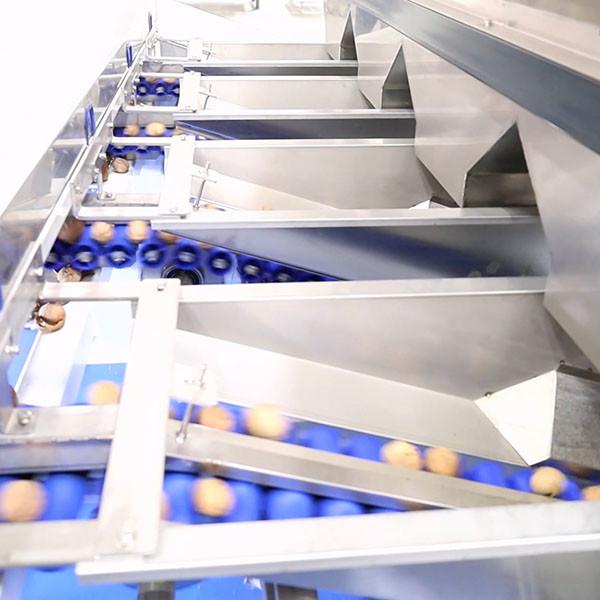 380V 8 Channels Electrical Walnut Shelling Machine CE Approved Capable 1-2 Tons