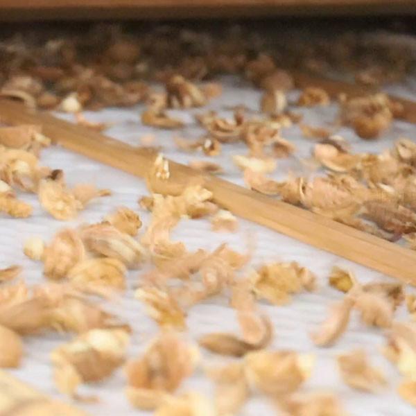 380V 8 Channels Electrical Walnut Shelling Machine CE Approved Capable 1-2 Tons