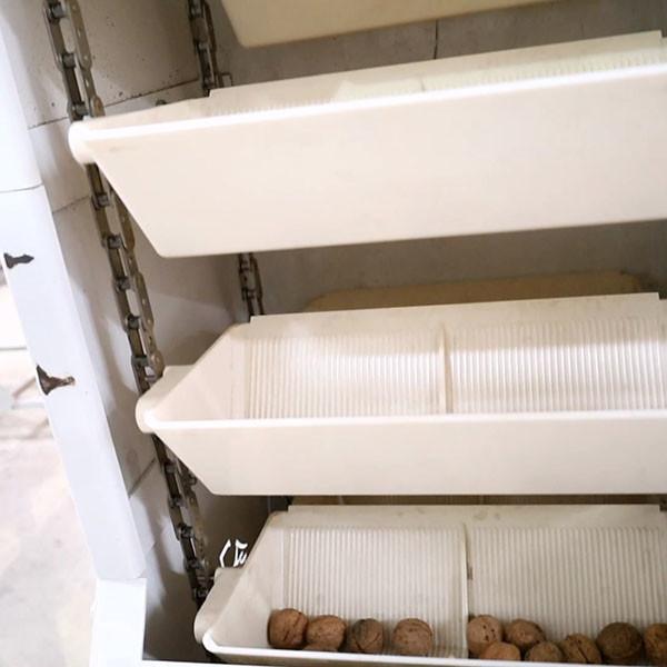 380V 8 Channels Electrical Walnut Shelling Machine CE Approved Capable 1-2 Tons