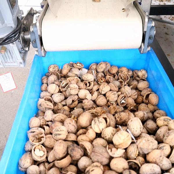380V 8 Channels Electrical Walnut Shelling Machine CE Approved Capable 1-2 Tons