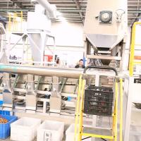 China High Speed Pecan Shelling Machine 380V CE Approved 1-2 Tons Yield for sale