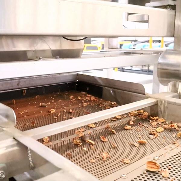 220V Pecan Shelling Machine Capable 100000 Nuts With CE Certifications
