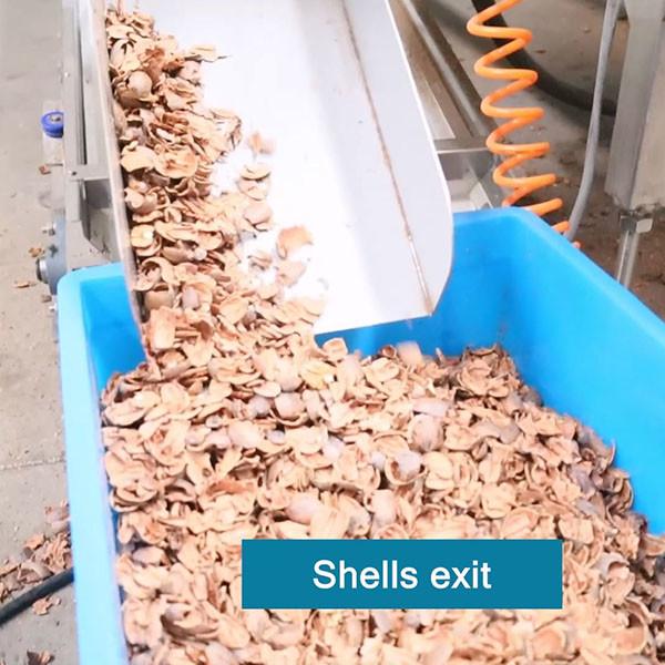 220V Pecan Shelling Machine Capable 100000 Nuts With CE Certifications