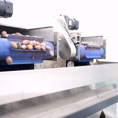 Cina l'alimentazione 380V 8 incanala 2 tonnellate della capacità del pecan di CE del selezionatore certificato in vendita