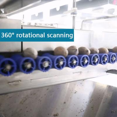 Cina l'alimentazione 380V 8 incanala 2 tonnellate della capacità del pecan di CE del selezionatore certificato in vendita