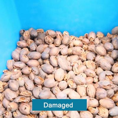Cina l'alimentazione 380V 8 incanala 2 tonnellate della capacità del pecan di CE del selezionatore certificato in vendita