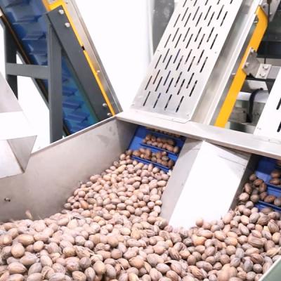 Cina 8 il CE del vaglio del pecan delle uscite 380V ha approvato 1 Ton Capacity in vendita