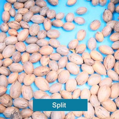 Cina 8 il CE del vaglio del pecan delle uscite 380V ha approvato 1 Ton Capacity in vendita