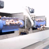 China 380V 8 Outlets CE Approved Pecan Sorting Machine 1 Ton Capacity for sale