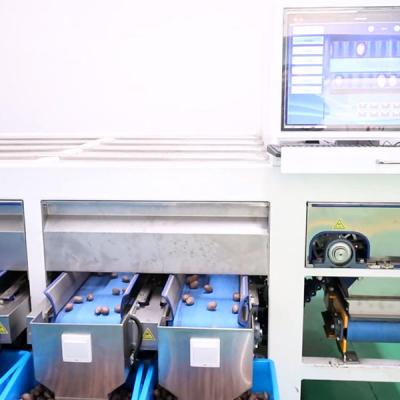 China CER indossierte fähige 1-2 Tonnen der Pekannuss-sortierende Maschinen-7kW 380V mit 8 Toren zu verkaufen