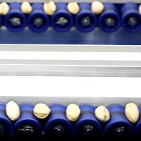 China High Speed Pistachio Sorting And Grading Machine Computer Control 16 Channels for sale