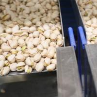 China High Speed Pistachio Sorting And Grading Machine Computer Control 16 Channels for sale