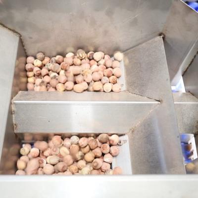 China Machine 8 van Lotus Seed Sorting And Grading van het 360 Graad Rotatieaftasten Kanalen Te koop