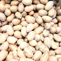 China 8 Channels Nuts Sorting Machine 380V Pecans Sorting And Grading Machine for sale