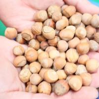 China 380V 8 Channels Hazelnuts Sorting Machine 360 Degree Rotational Scanning for sale