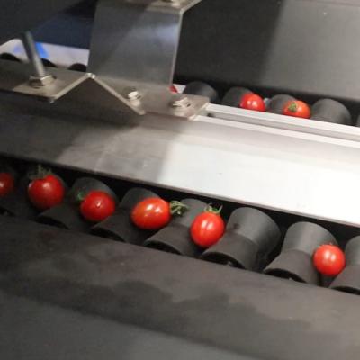 China Roestvrij staal Mechanisch Cherry Tomatoes Sorting Grading Machine 8 Kanalen 380V Te koop