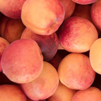 China 360 Degree Rotational Scanning Fruit Sorting Machine Peaches Grading Machine 380V for sale