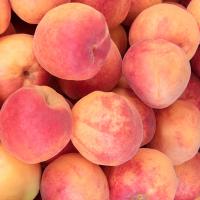 China 360 Degree Rotational Scanning Fruit Sorting Machine Peaches Grading Machine 380V for sale