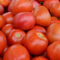 China Computer Control Tomatoes Black Sorting And Grading Machine 380V 6 Channels for sale