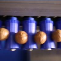 China Intelligent Silver Macadamia Nuts Sorting Machine 380V 6 - 20 Lanes for sale