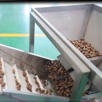 China Mechanical Pecans Silver Sorting And Shelling Machine Computer Control 380V for sale