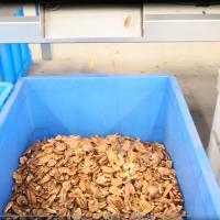 China Mechanical Pecans Silver Sorting And Shelling Machine Computer Control 380V for sale