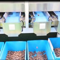 China Mechanical Pecans Silver Sorting And Shelling Machine Computer Control 380V for sale