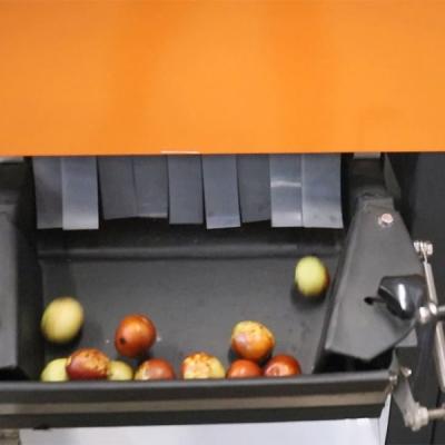 China 8 rijstroken 380V Dates Fruit Sortering Grading Machine Computer Control Te koop