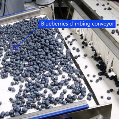 China Large Output Electric Drive Intelligent Blueberry Sorting Grading Machine 380V 6 Channels for sale