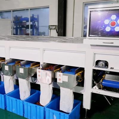 China 380V 8.2kW High Capacity Intelligent Dates Sorting Machine With 99.9% Accuracy for sale