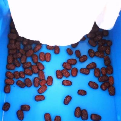 中国 3 トン/H 生産量 1 年間の保証 CE 証明書付きの赤い日付の分類機 販売のため