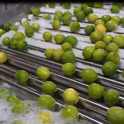 China Automatic PLC Control Fruit Sorting Machine For Lemons Sorting for sale