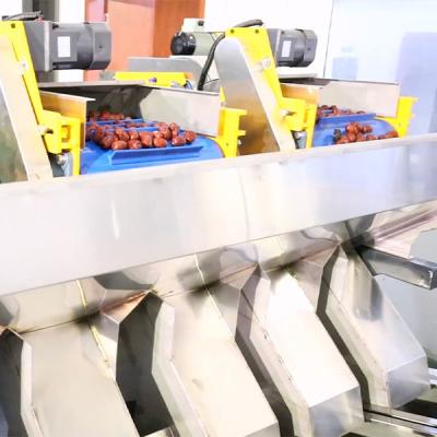 Cina Macchina di classificazione delle date di produzione 8 corsie per alimenti 50Hz 7.5KW in vendita