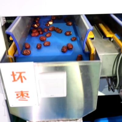 Cina Macchina di classificazione delle date di produzione 8 corsie per alimenti 50Hz 7.5KW in vendita